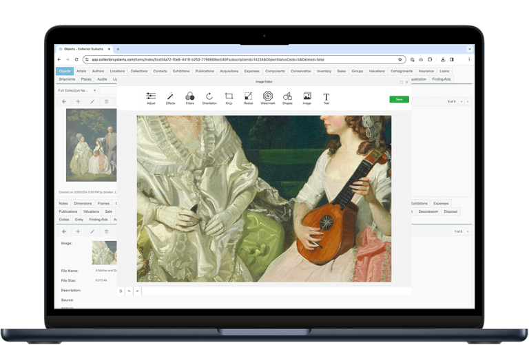 Museums & Institutions - Collector Systems