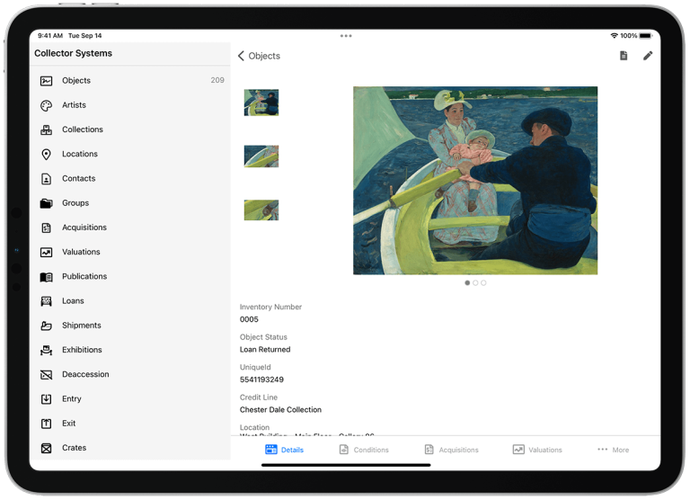 Museums & Institutions - Collector Systems
