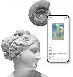 Museums & Institutions - Collector Systems